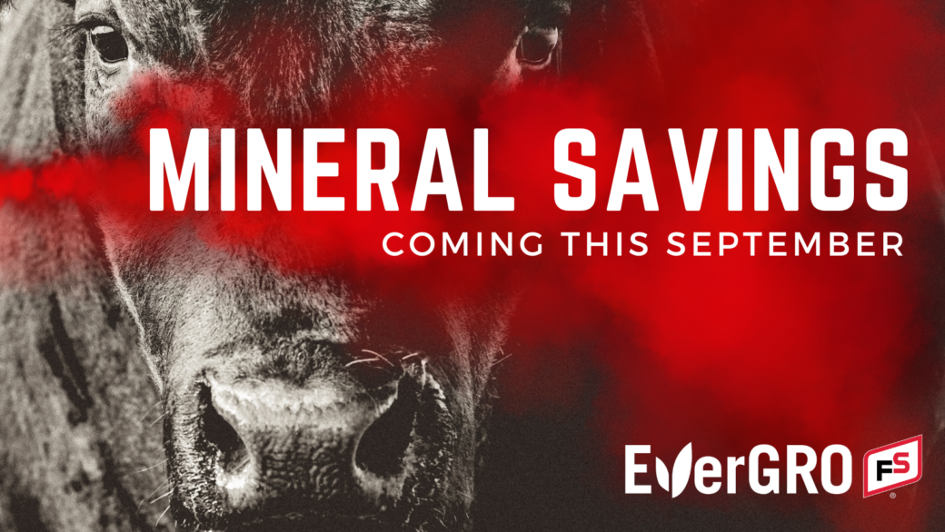 Upcoming Events – EverGRO