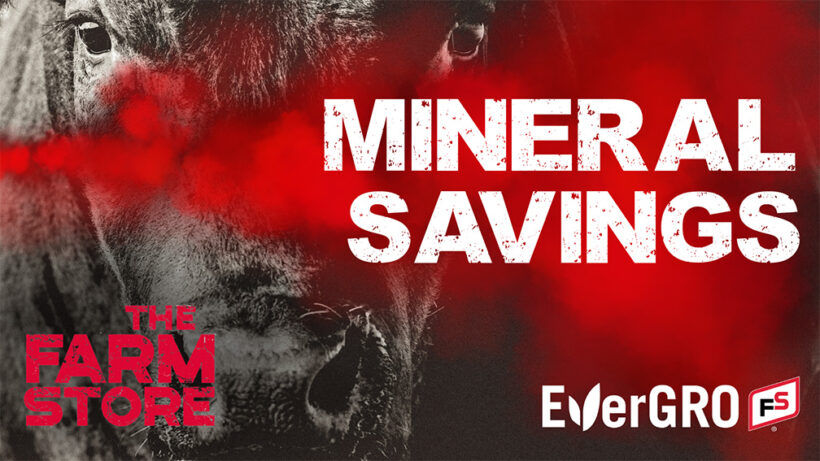 Cattle Mineral Savings Event | EverGRO