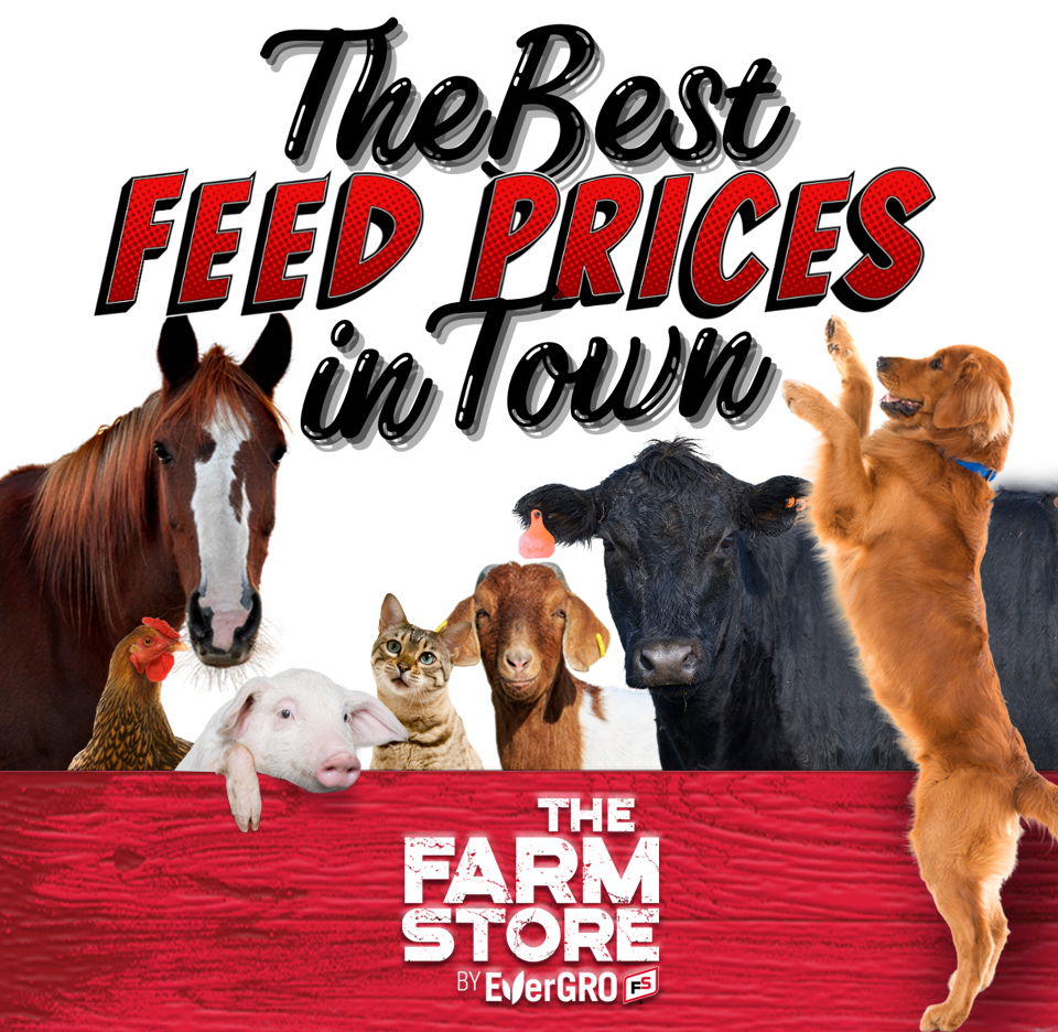 Your Farm Animal Feed Store | The Farm Store by EverGRO FS