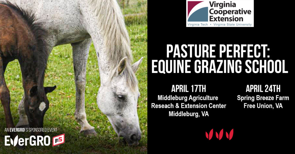 Pasture Perfect: Equine Grazing School -- VA Cooperative Extension ...