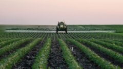 Spray Adjuvants | EverGRO