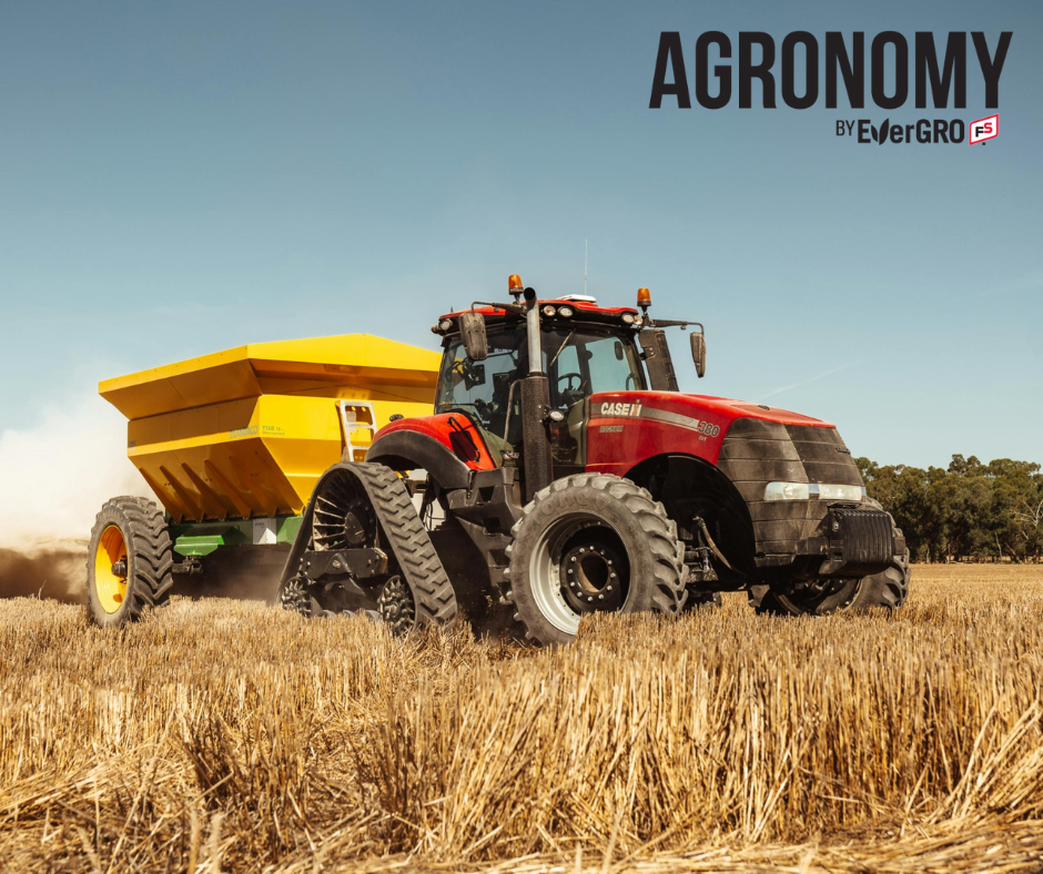 Fall Nitrogen Application | EverGRO